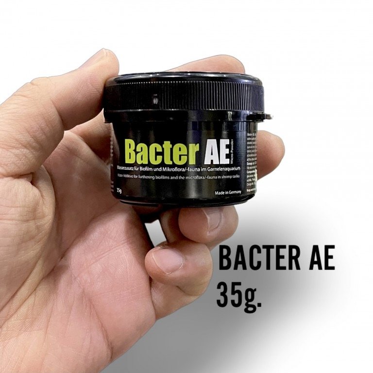 GG Bacter AE