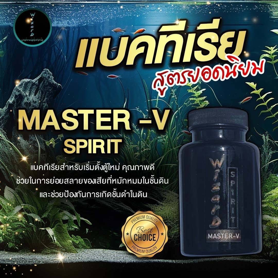 Wizard SPIRIT MASTER-V (แบครองพื้น)