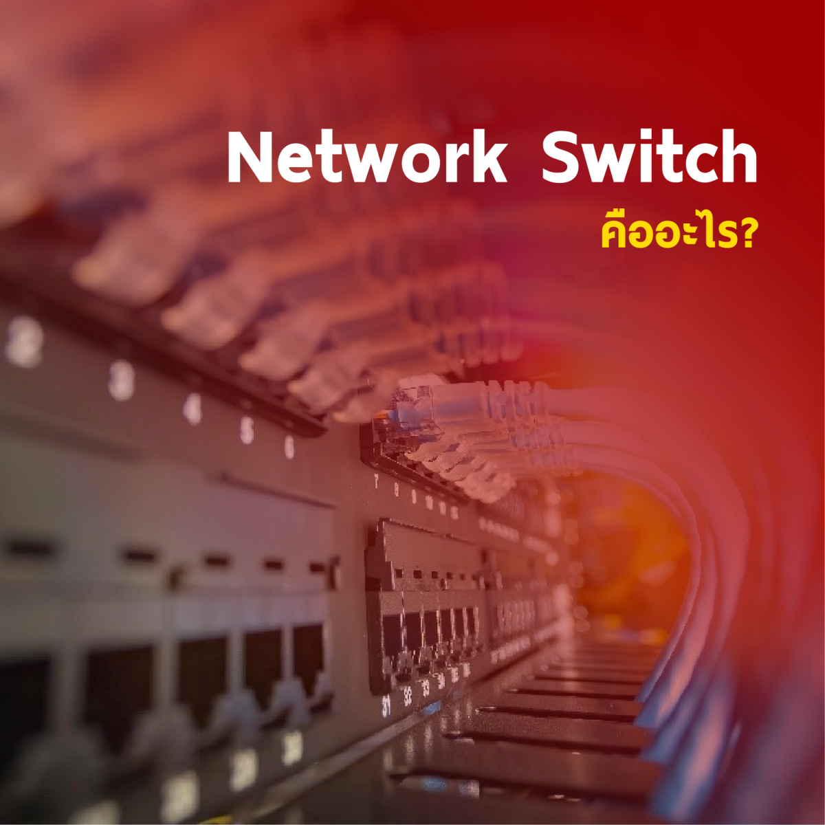 Network Switch คืออะไร? - jjsats