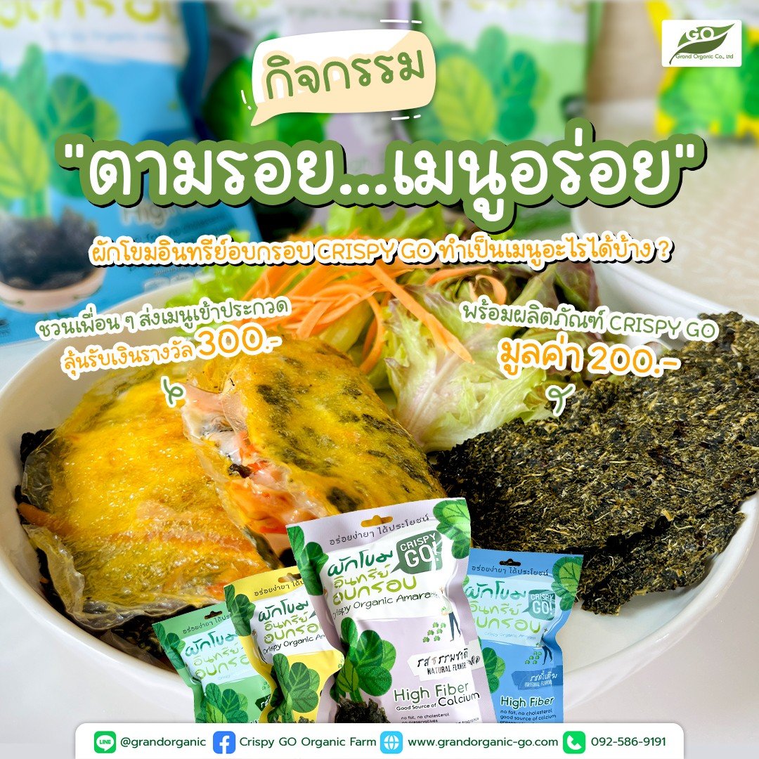 กิจกรรม "ตามรอย...เมนูอร่อย" ผักโขมอินทรีย์อบกรอบ Crispy GO ทำเป็นเมนู ...