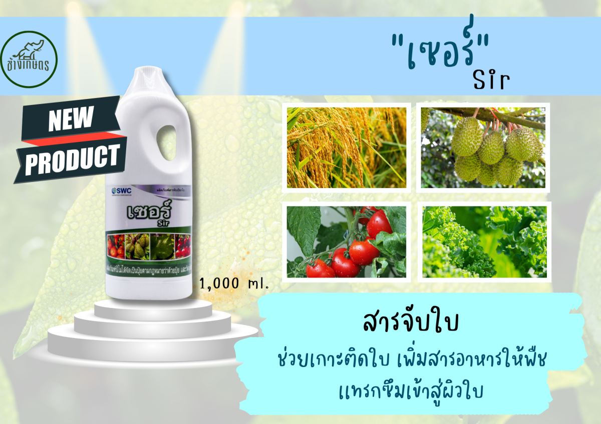 เซอร์ - changkaset