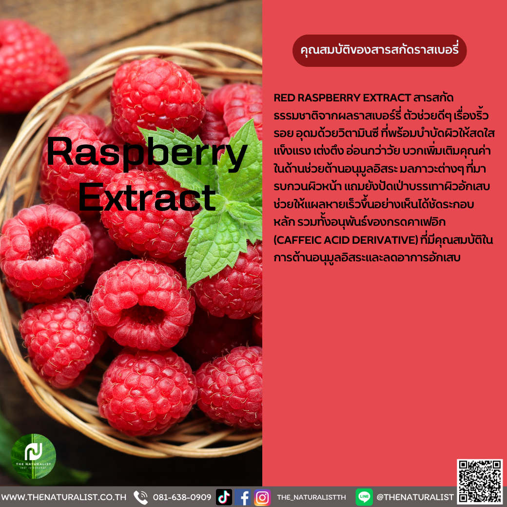 สารสกัดราสเบอรี่ - Raspberry Extract