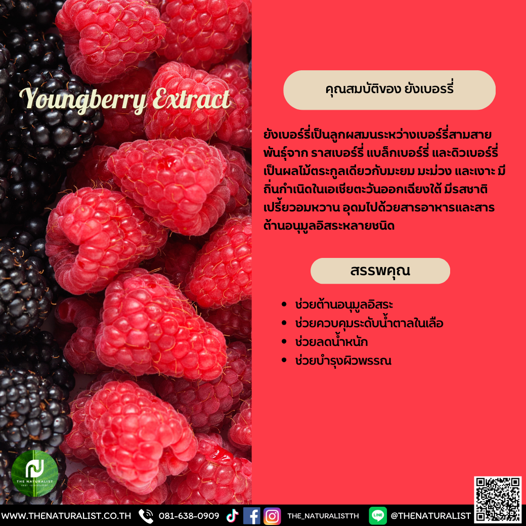 ยังเบอรรี่ - Youngberry Extract - thenaturalist