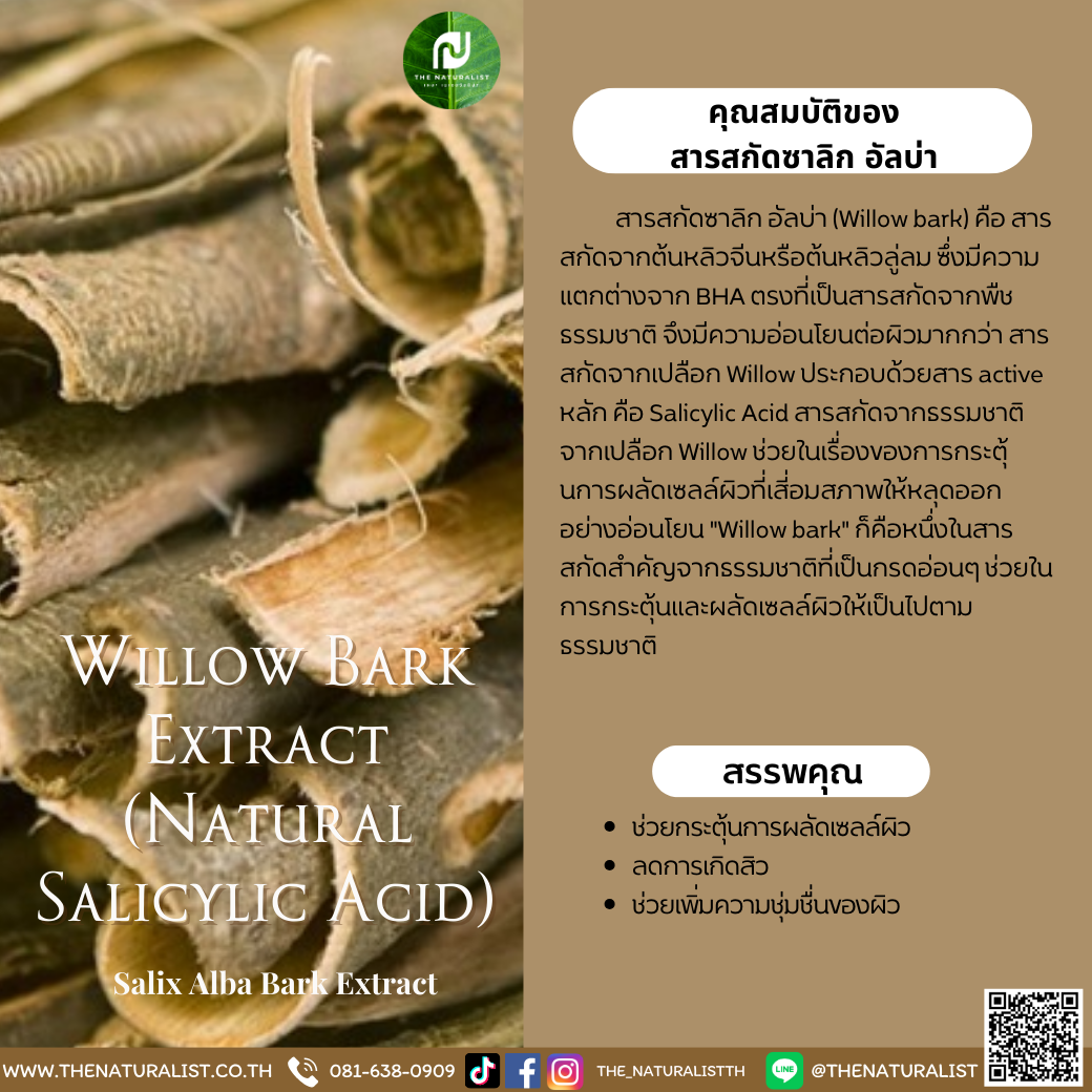 สารสกัดซาลิก อัลบ่า - Willow Bark Extract (Natural Salicylic Acid)