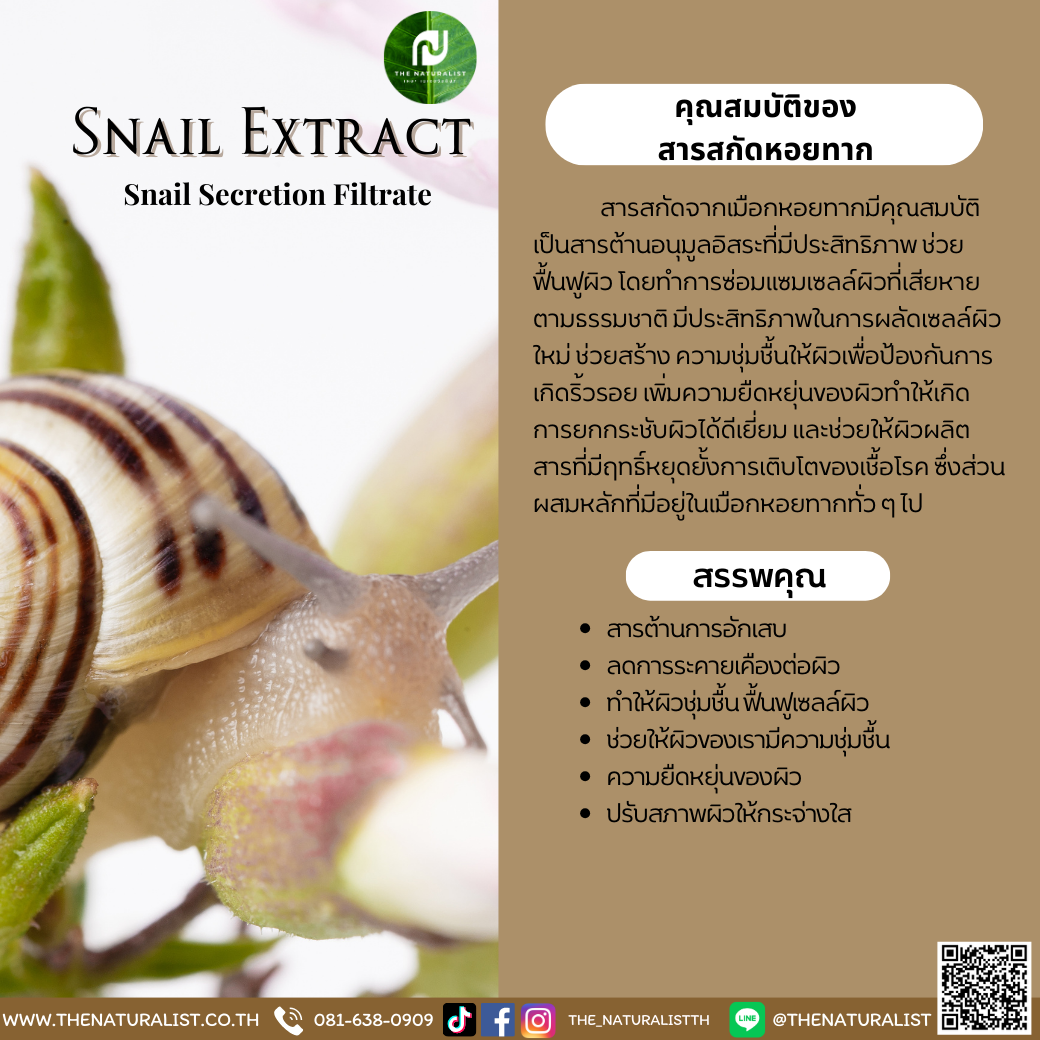 สารสกัดหอยทาก - Snail Extract - thenaturalist