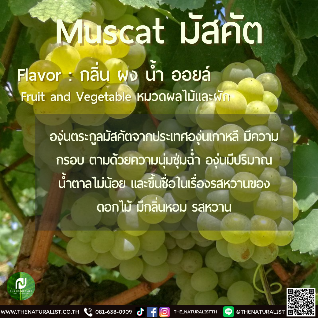 มัสคัต - Muscat Flavor