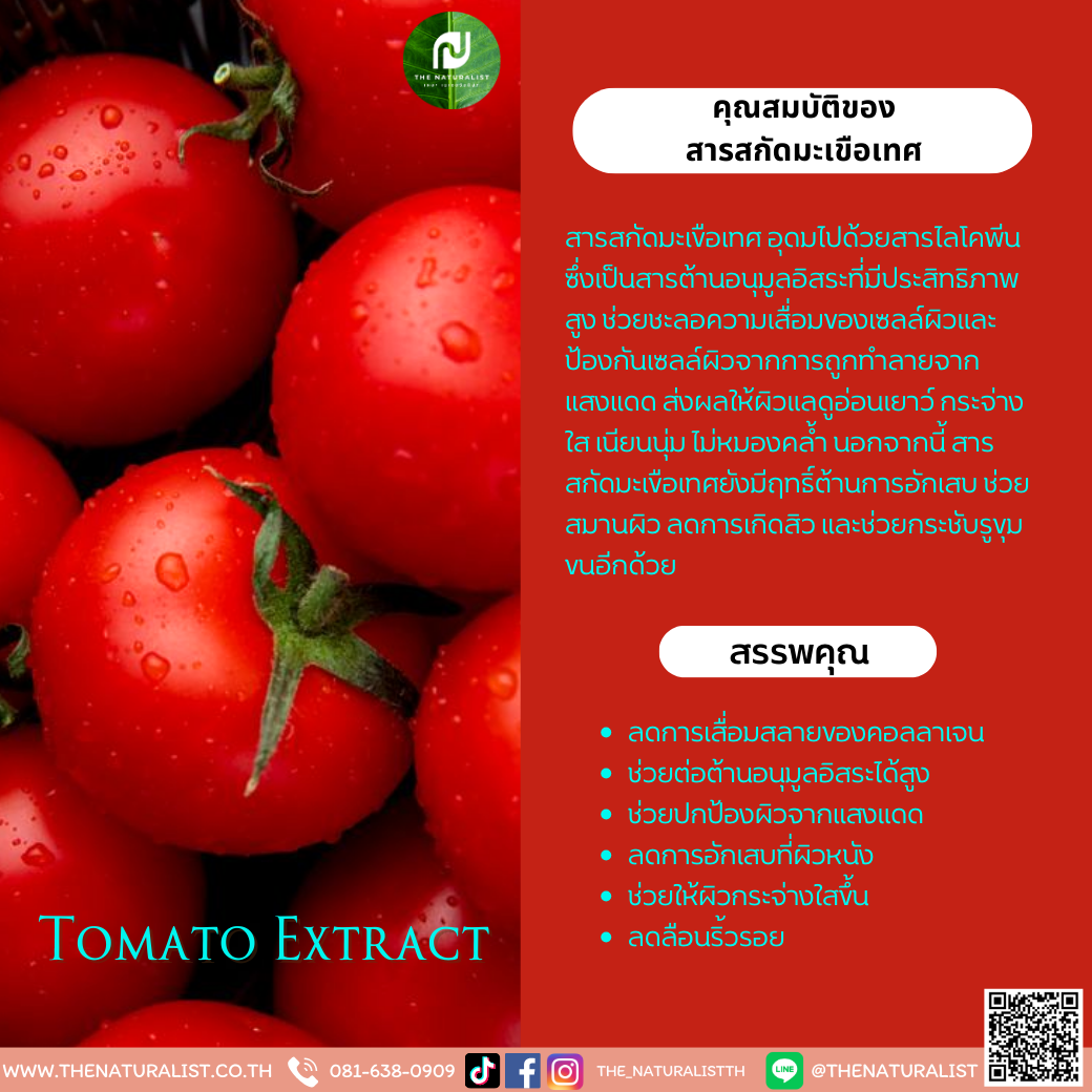 สารสกัดมะเขือเทศ - Tomato Extract - thenaturalist