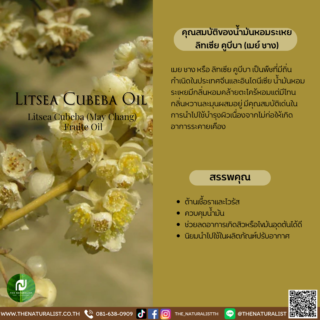 น้ำมันหอมระเหย ลิทเซีย คูบีบา - Essential Litsea Cubeba Oil - thenaturalist