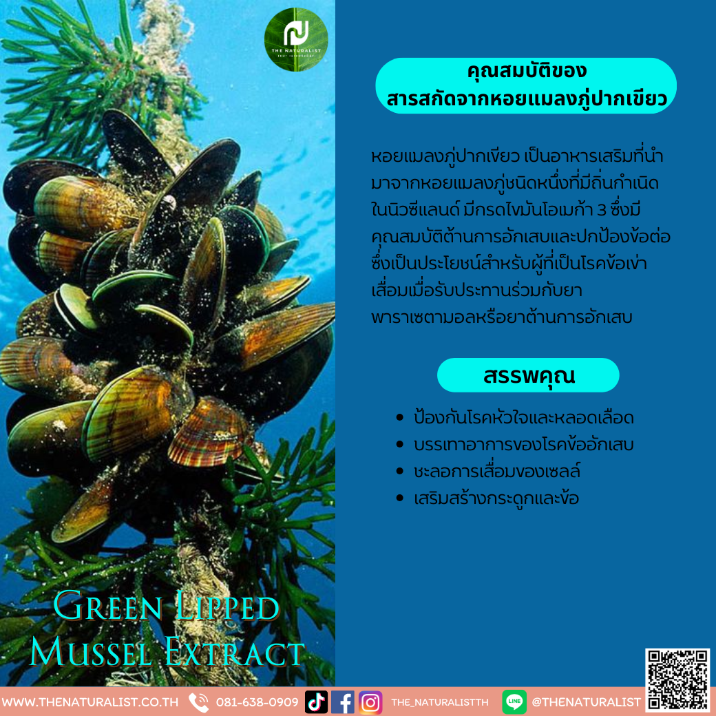 สารสกัดจากหอยแมลงภู่ปากเขียว - Green Lipped Mussel Extract