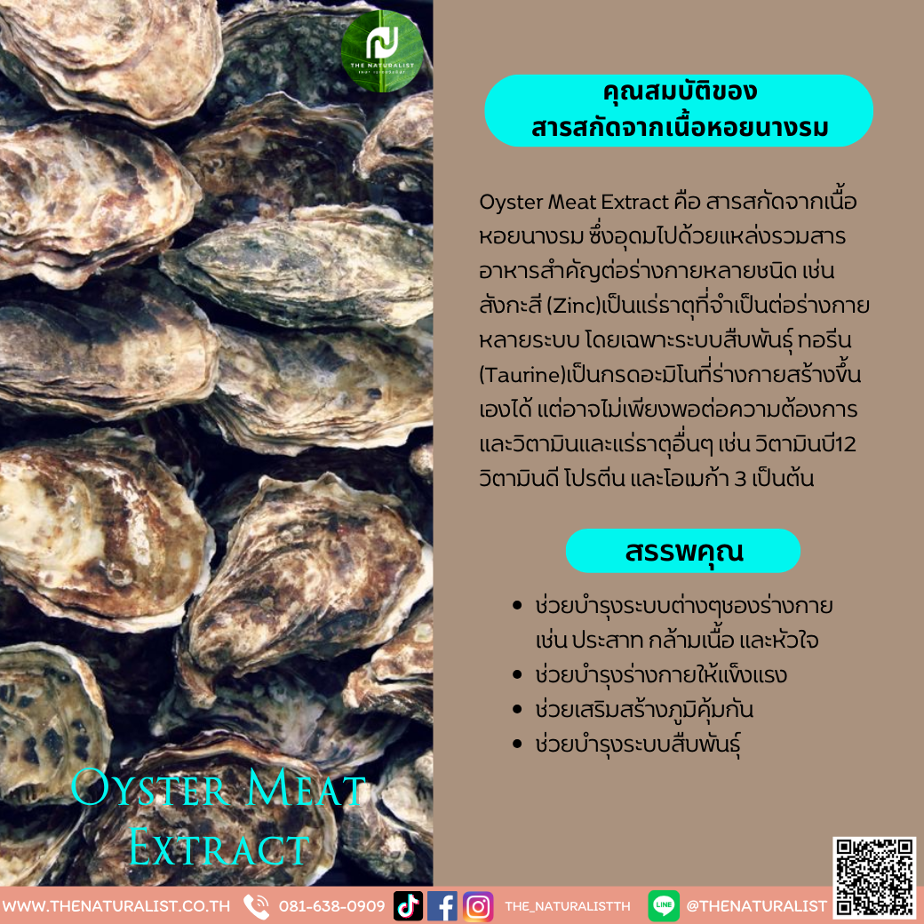 สารสกัดจากเนื้อหอยนางรม - Oyster Meat Extract