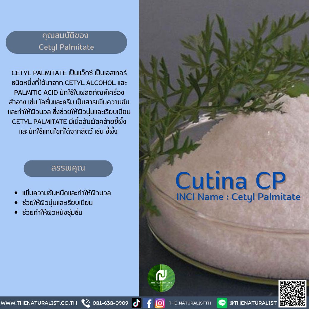 Cutina CP