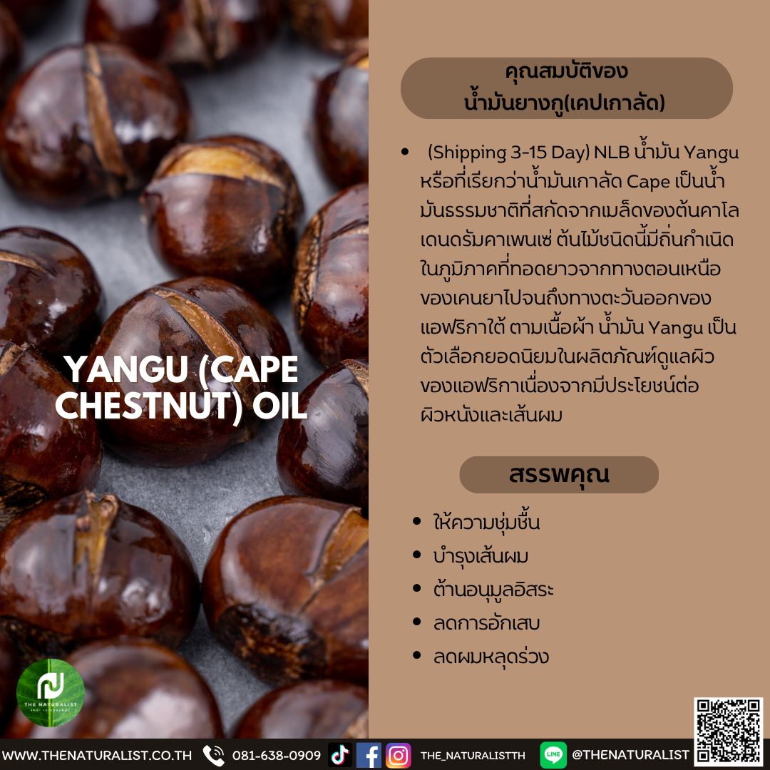 น้ำมันยางกู(เคปเกาลัด) - YANGU (CAPE CHESTNUT) OIL