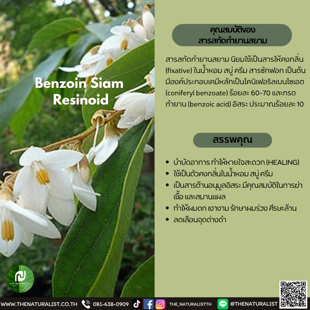 สารสกัดกำยานสยาม - Benzoin Siam Resinoid