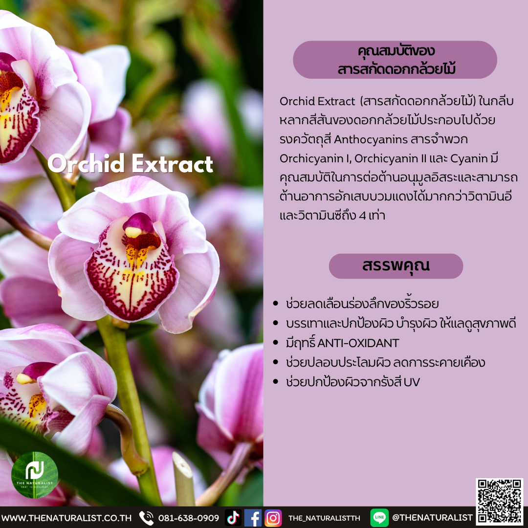 สารสกัดดอกกล้วยไม้ - Orchid Extract