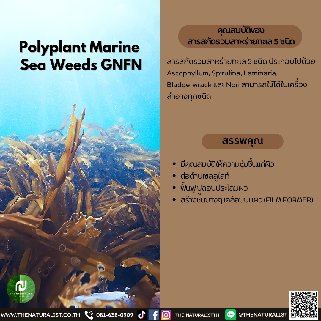 สารสกัดรวมสาหร่ายทะเล 5 ชนิด - Polyplant Marine Sea Weeds GNFN