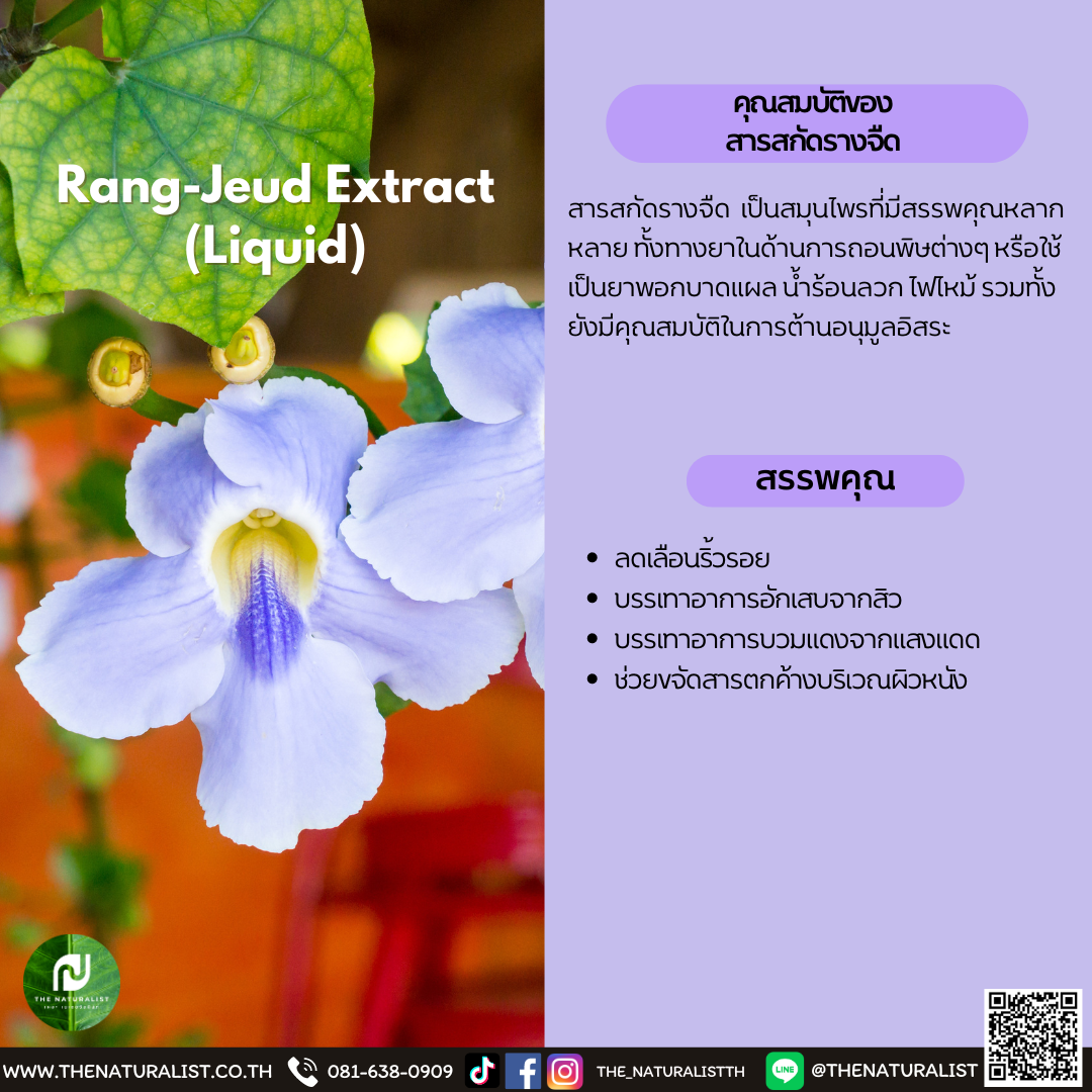 สารสกัดรางจืด - Rang-Jeud Extract (Liquid)