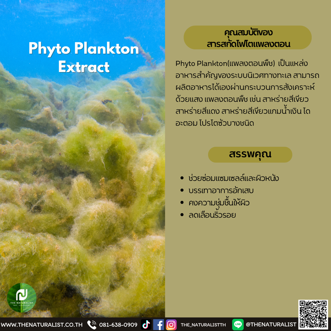 สารสกัดไฟโตแพลงตอน - Phyto Plankton Extract - thenaturalist