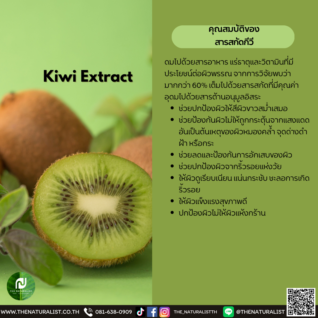 สารสกัดกีวี - Kiwi Extract - thenaturalist