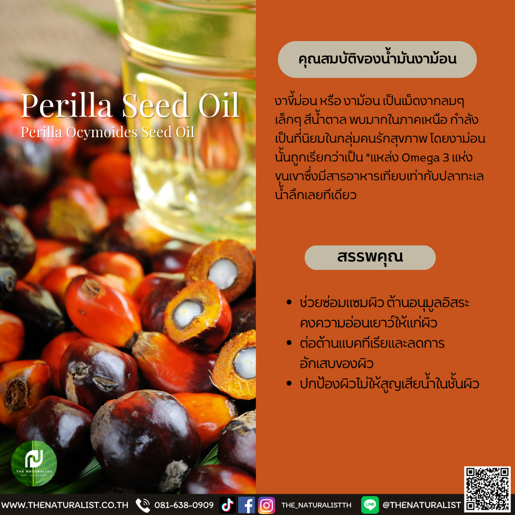 น้ำมันงาม้อน - Perilla Seed Oil