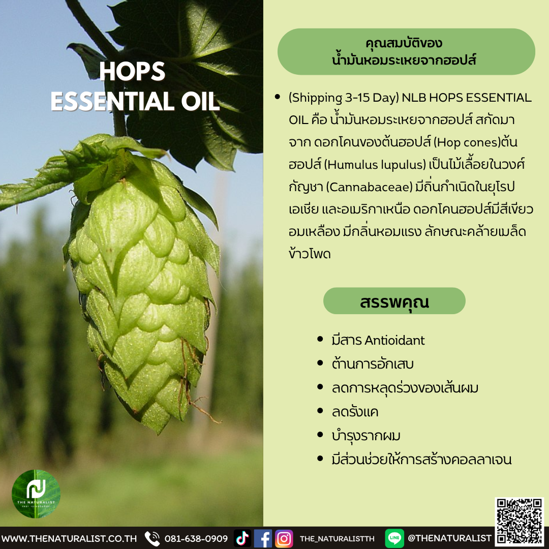 น้ำมันหอมระเหยจากฮอปส์-HOPS ESSENTIAL OIL - thenaturalist