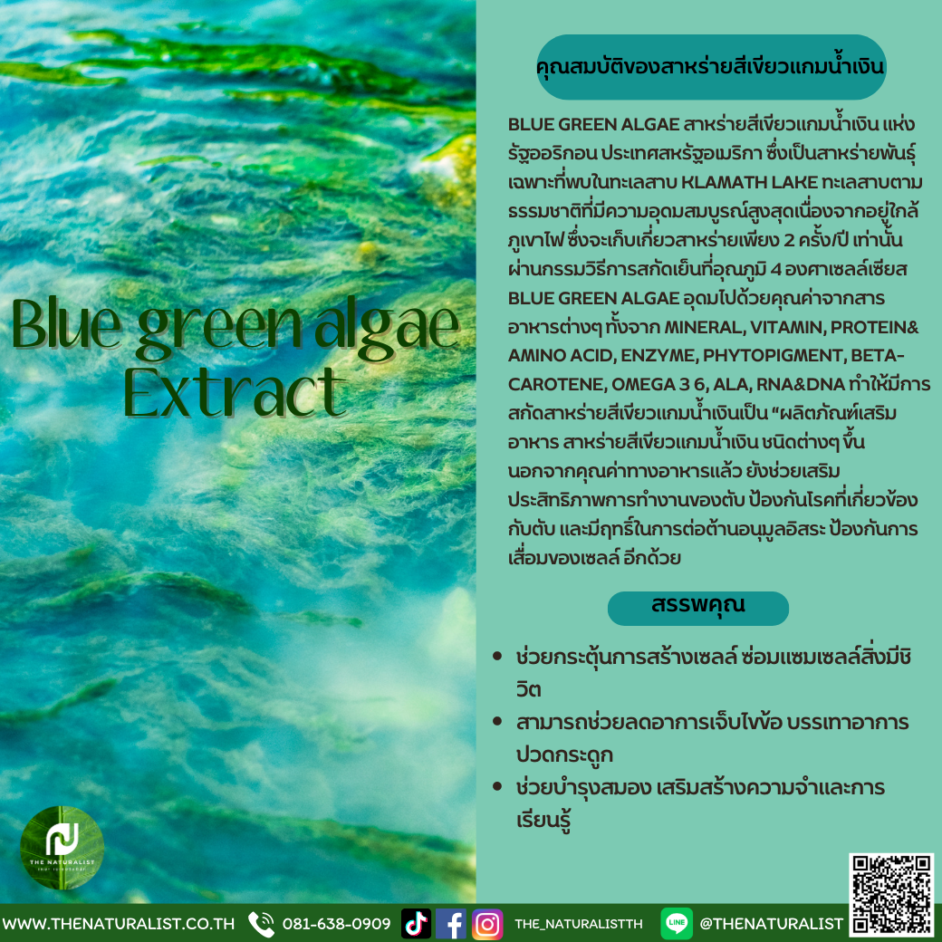 สาหร่ายสีเขียวแกมน้ำเงิน - Blue Green Algae Extract - thenaturalist