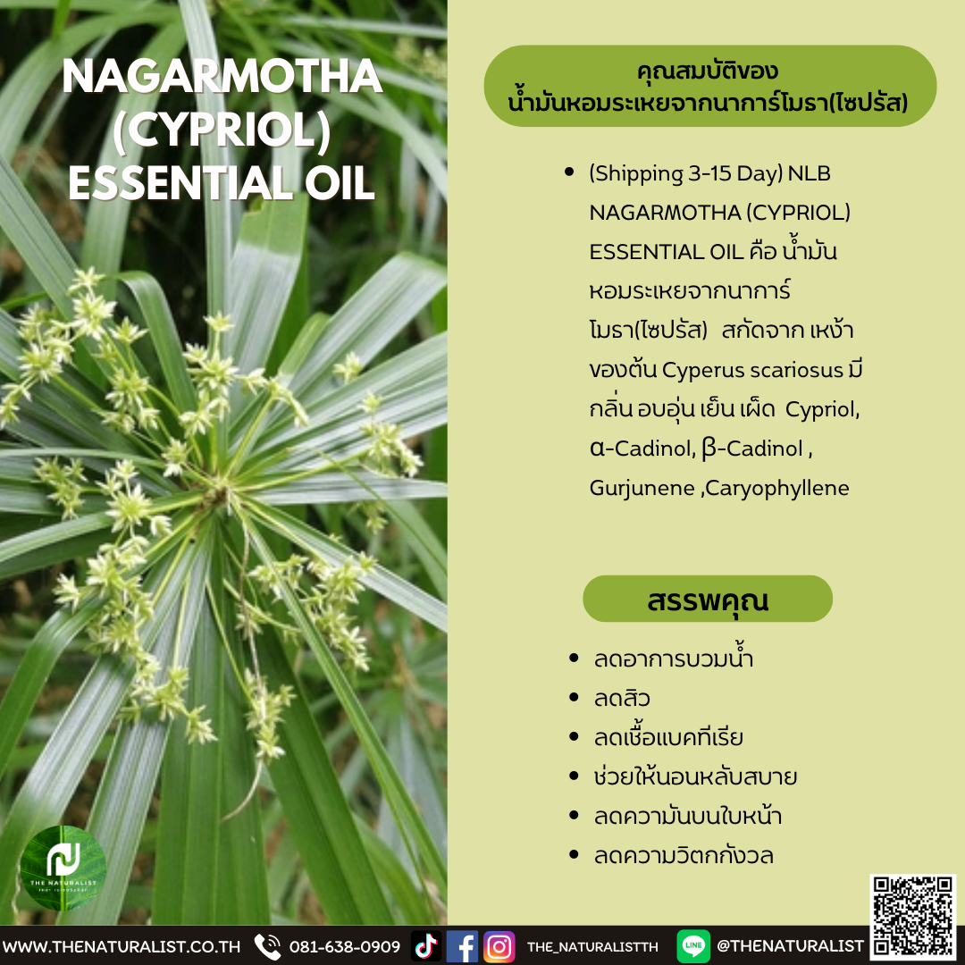 น้ำมันหอมระเหยจากนาการ์โมธา-NAGARMOTHA ESSENTIAL OIL