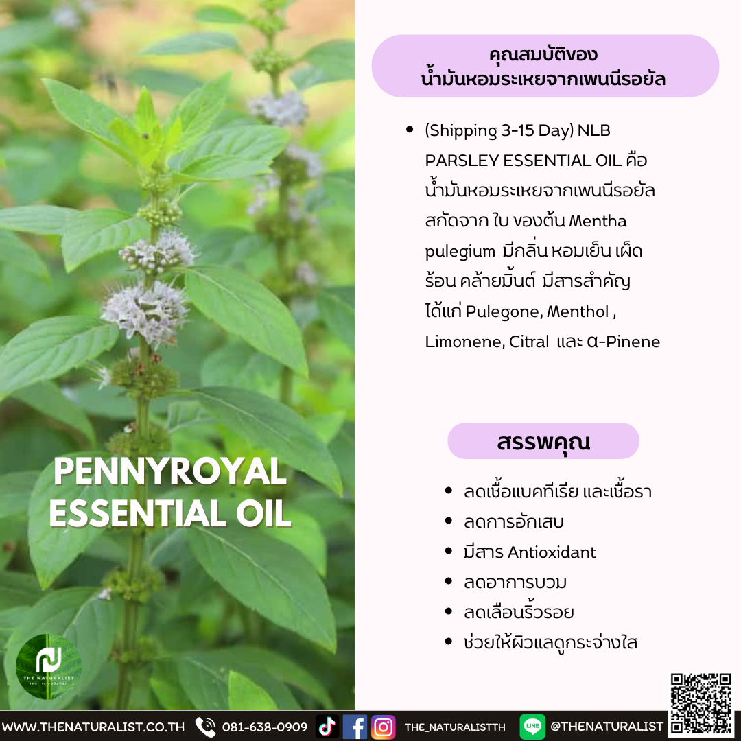 น้ำมันหอมระเหยจากเพนนีรอยัล Pennyroyal Essential Oil Thenaturalist