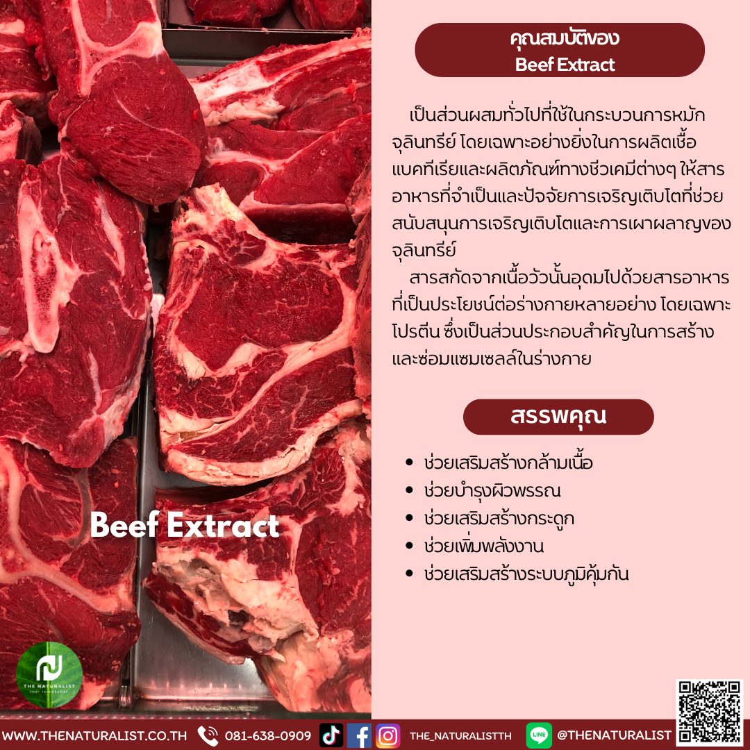 สารสกัดจากเนื้อวัว - Beef Extract - thenaturalist