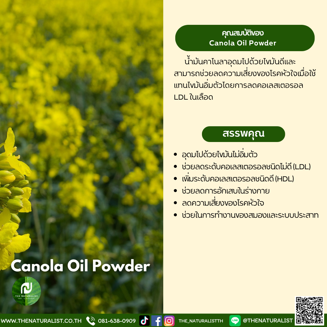 ผงน้ำมันคาโนล่า - Canola Oil Powder