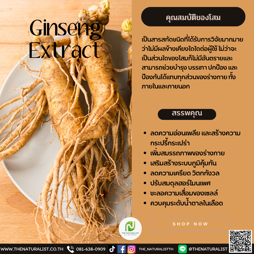 โสม - Ginseng Extract - thenaturalist