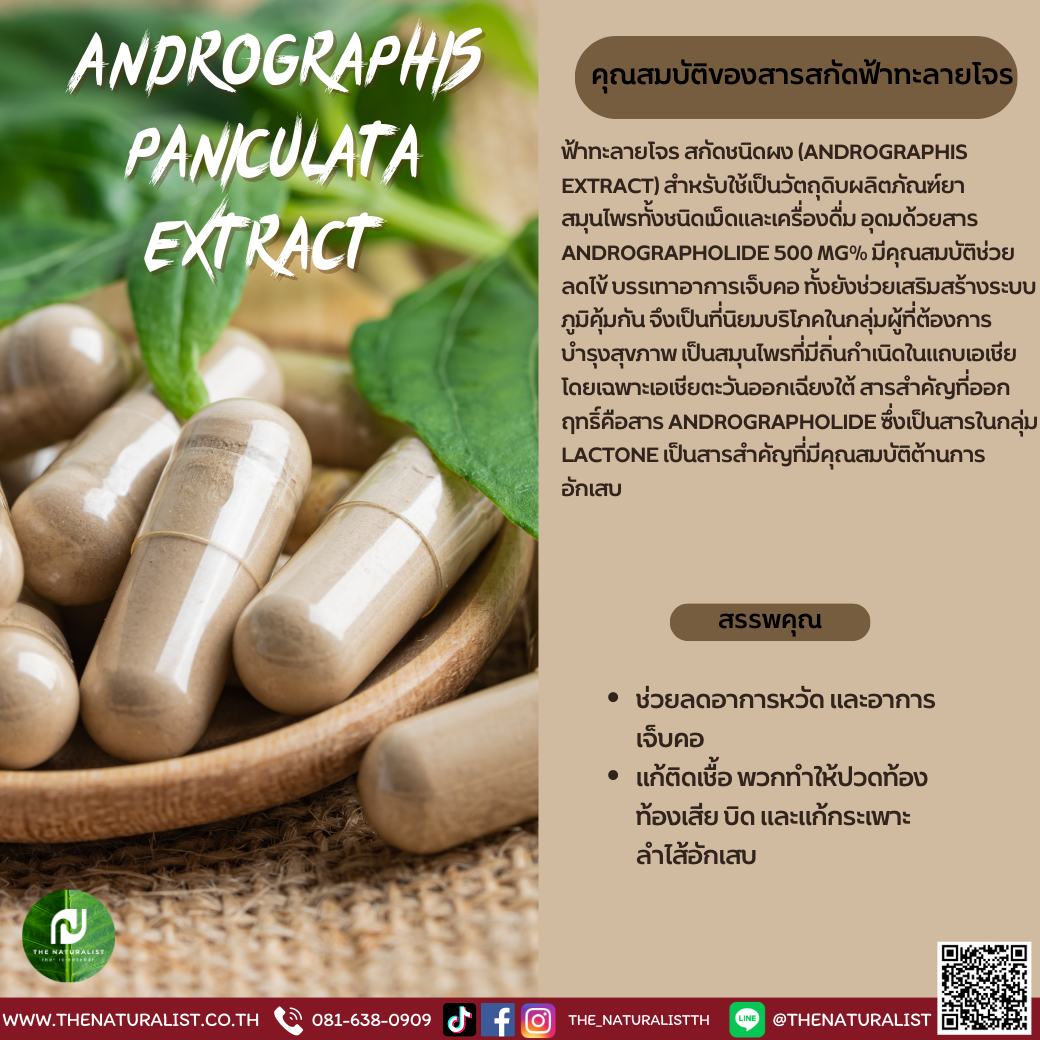 Andrographis Paniculata Extract - สารสกัดฟ้าทะลายโจร