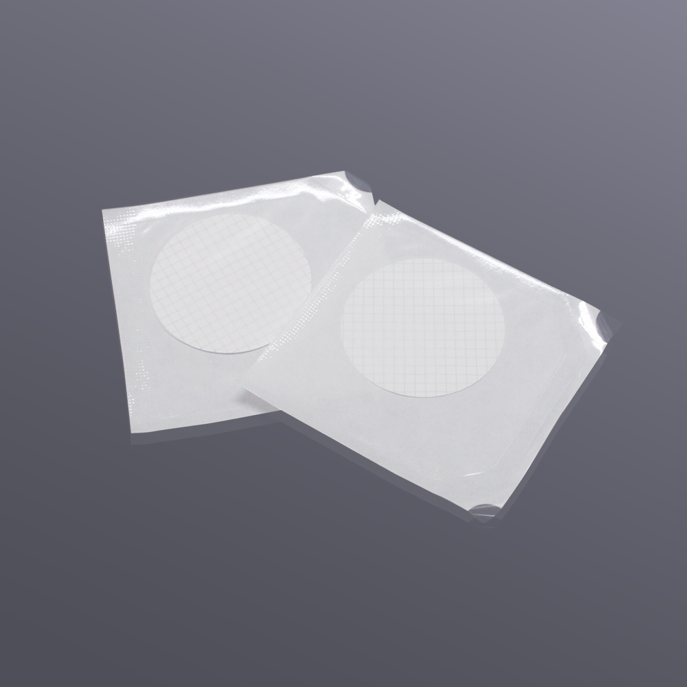 Gridded Membrane Filter