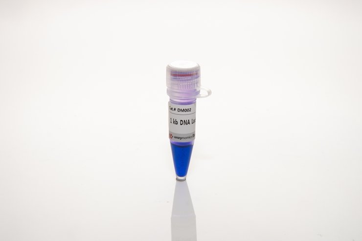 1 kb DNA Ladder Marker,100μg/ml,0.5ml