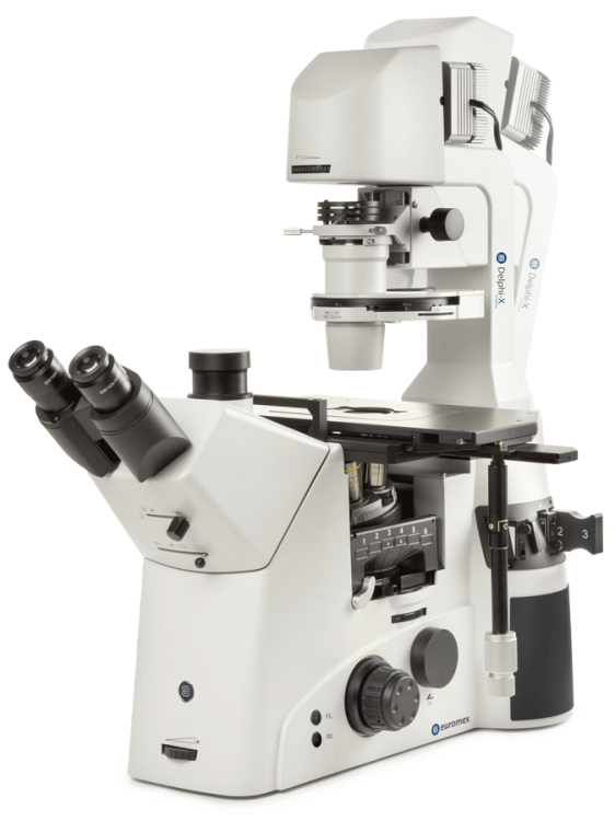 DI.1053-PLPHFi Trinocular Delphi-X Inverso inverted microscope with ...