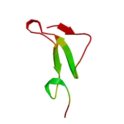 EpGN (Epigen), Human, 100 ug