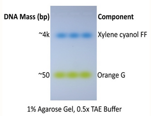 6X Green Loading Dye - smartscience