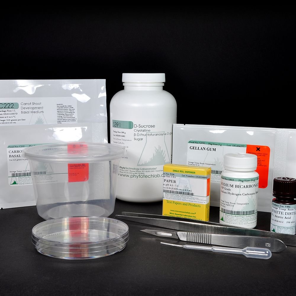 Carrot Tissue Culture Kit, 1 Each