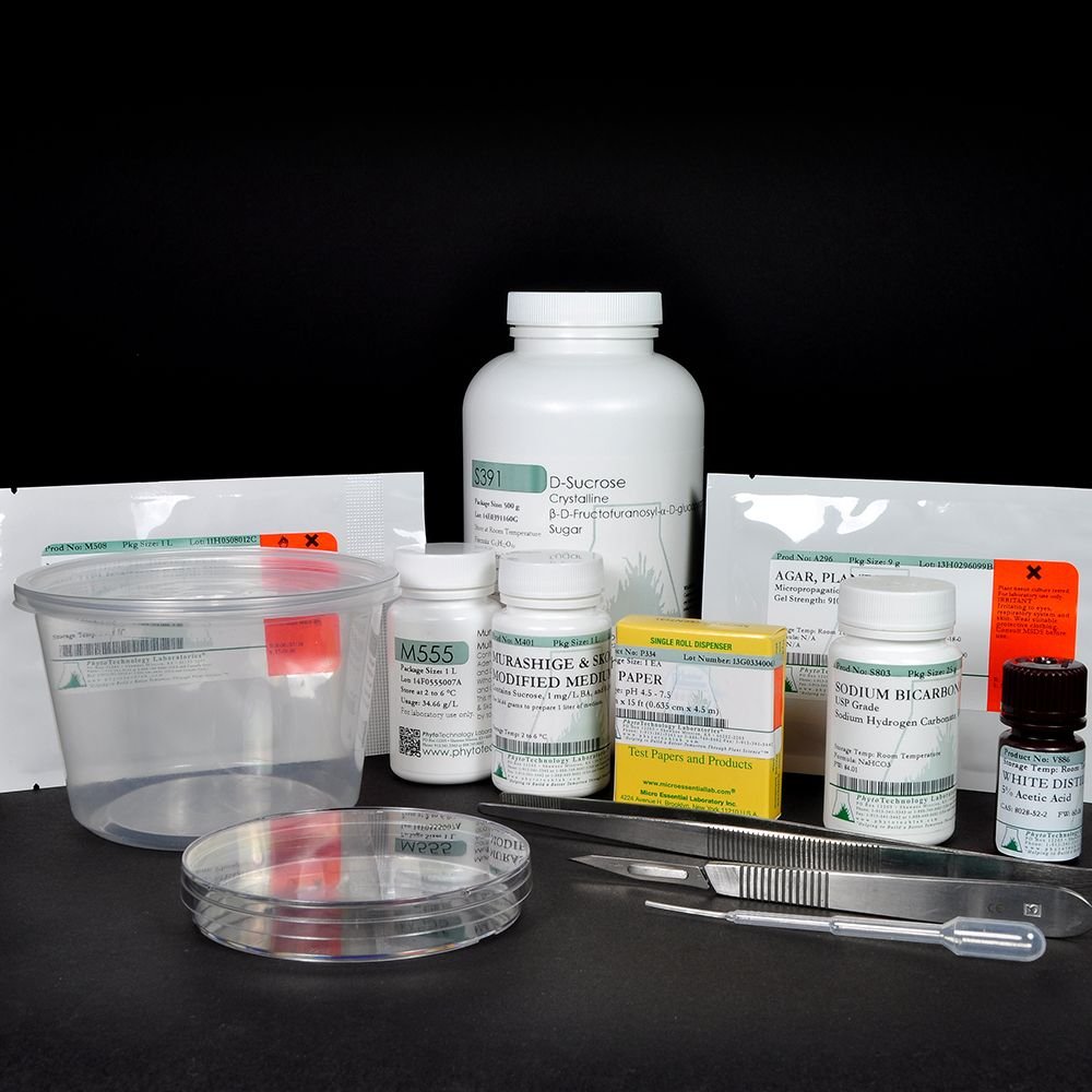 Potato Tissue Culture Kit