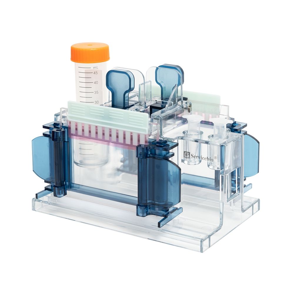 Gel Casting Stand - smartscience