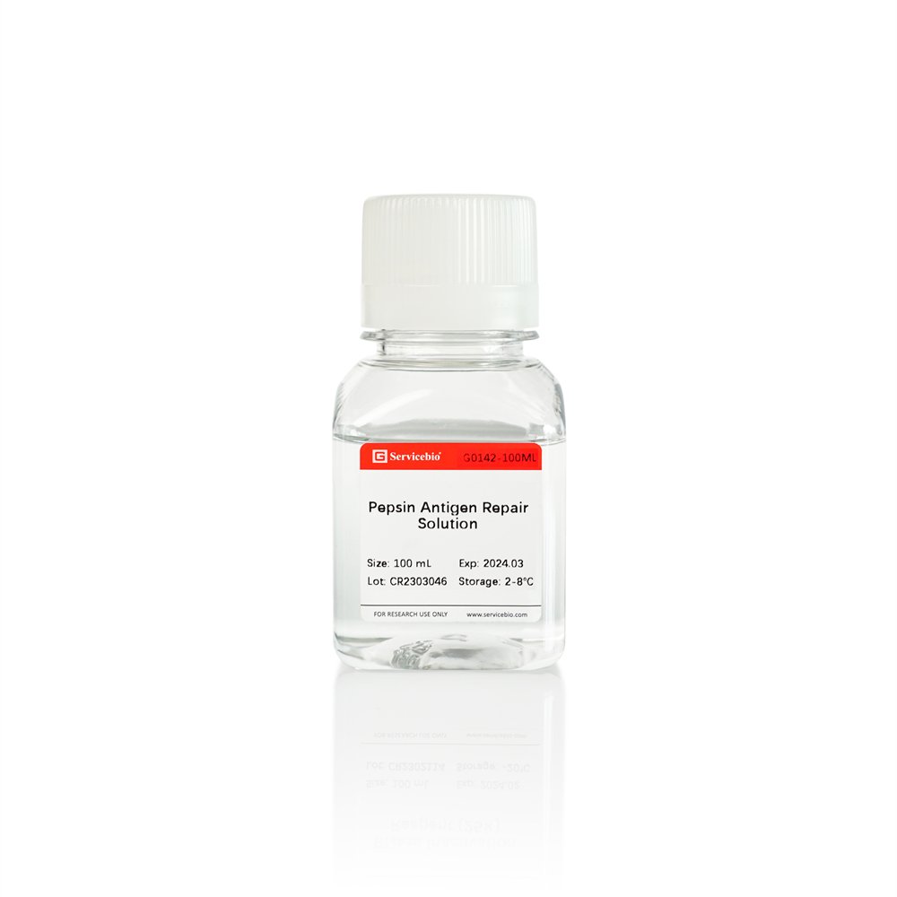Pepsin Antigen Repair Solution (Ready-to-use) - smartscience