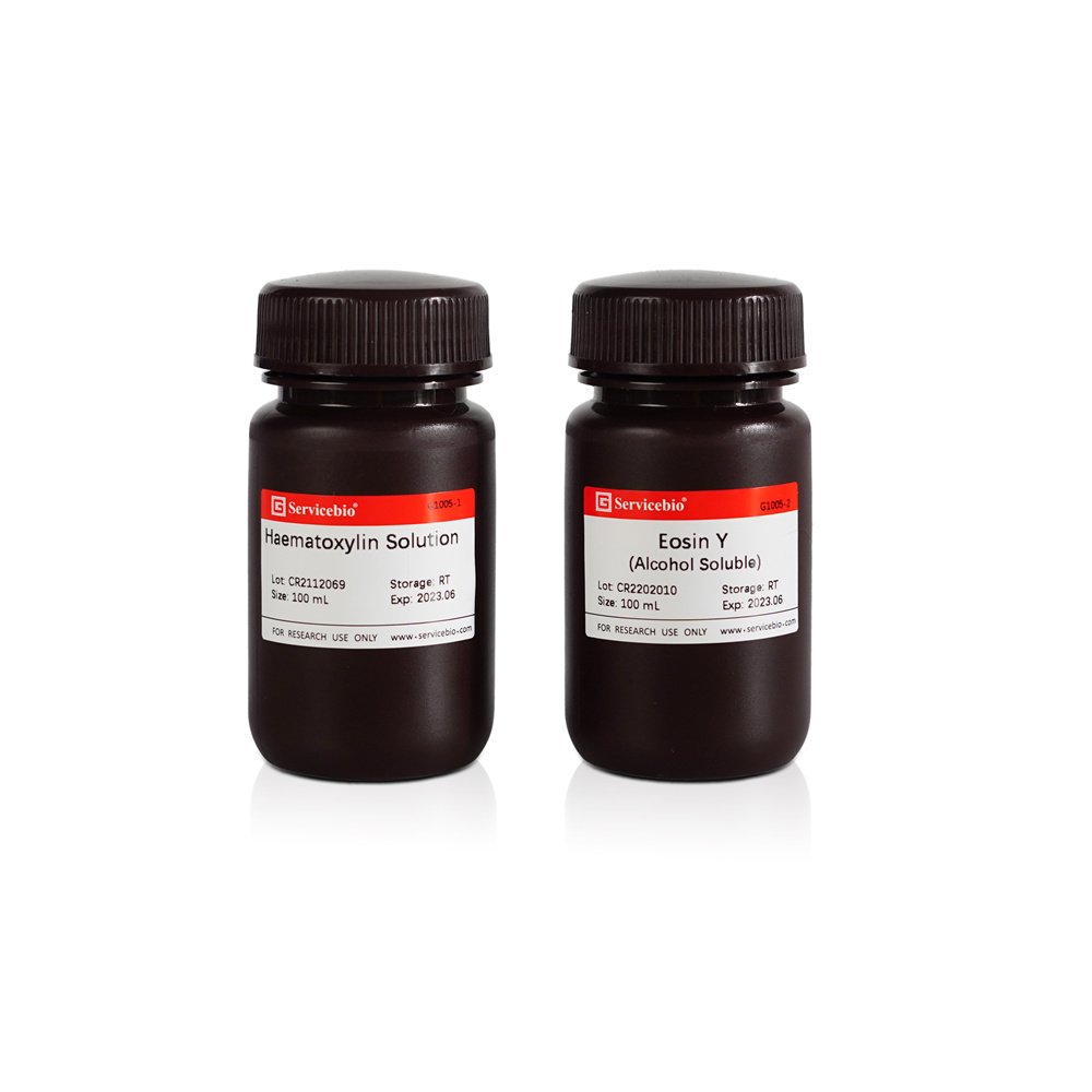 Haematoxylin Eosin (HE) Staining Kit
