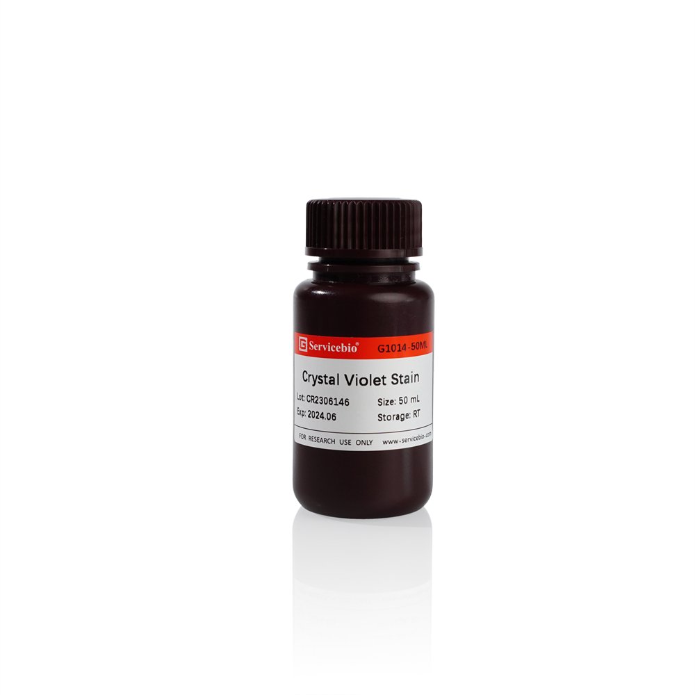Crystal violet stain, 50 mL (for Nucleic acid staining)