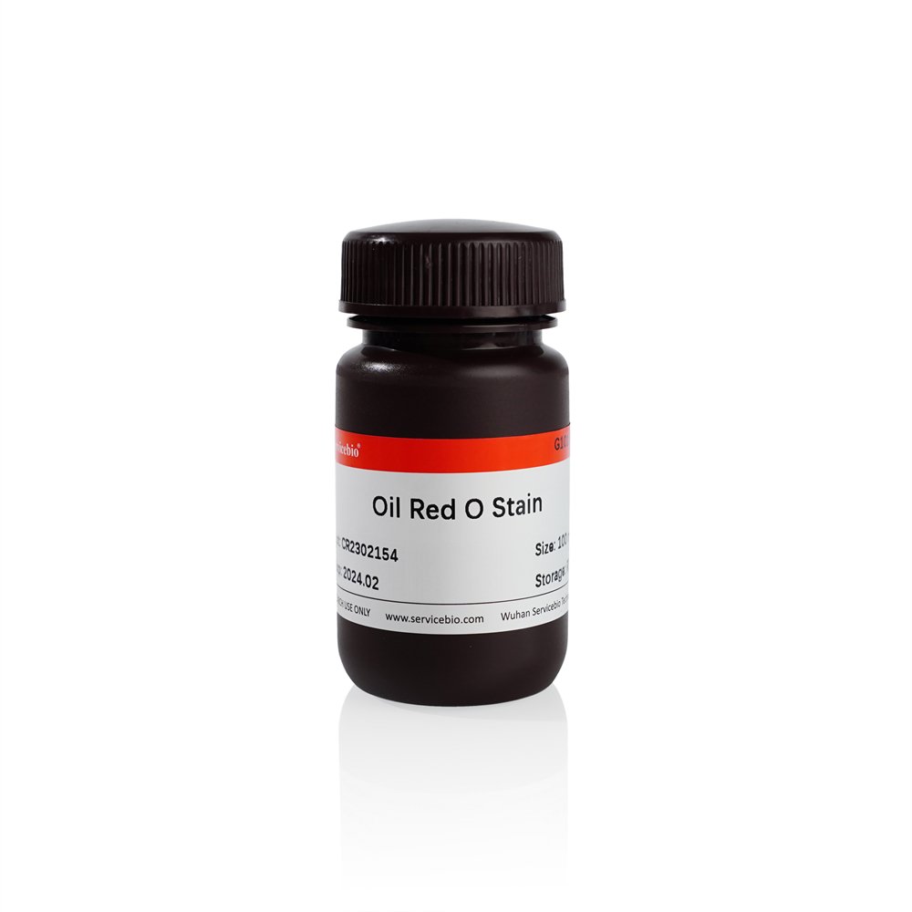 Oil Red O Stain, 100 mL (for Lipd staining)
