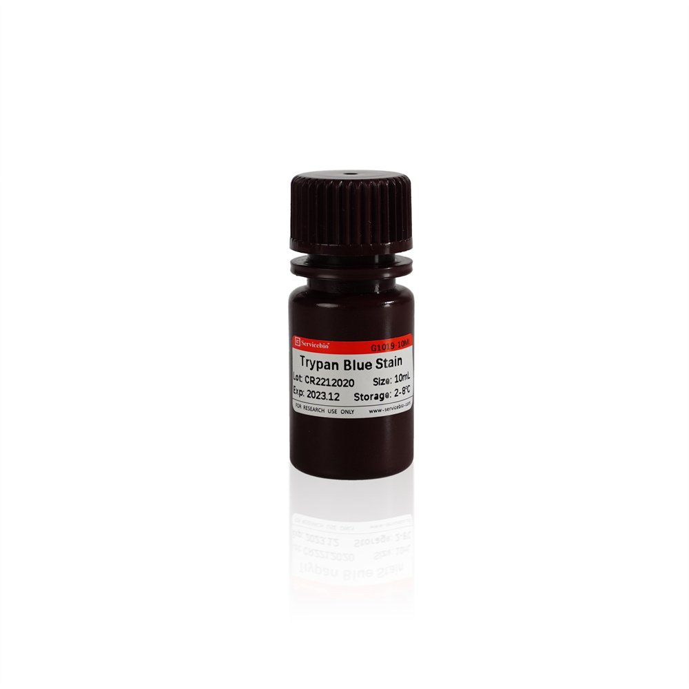 Trypan Blue Stain, 10 mL