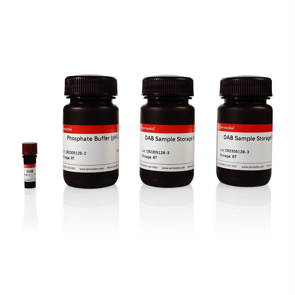 Plant Hydrogen peroxide Stain(DAB), 100 mL×3 (for Plant sample staining)