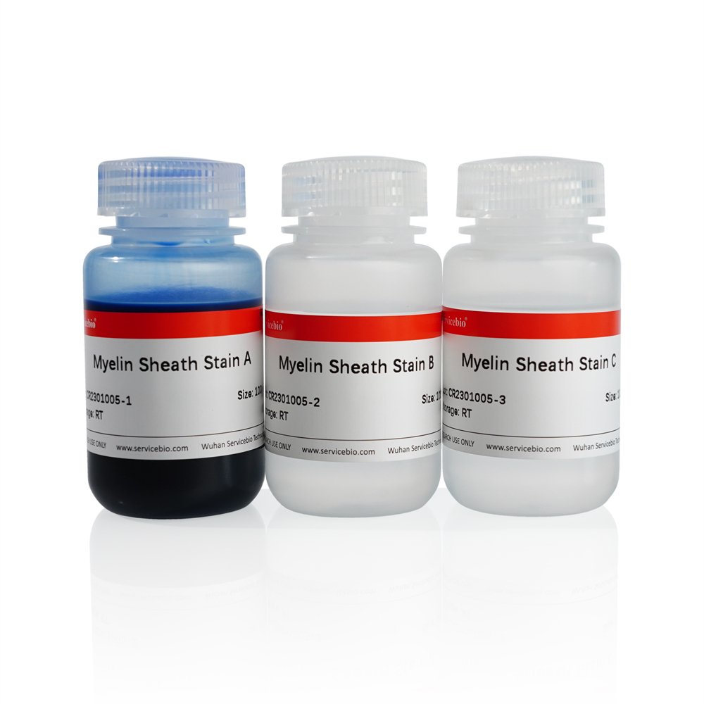 Luxol Fast Blue (Myelin Sheath) Stain, 100 mL×3 (for Nervous tissue ...