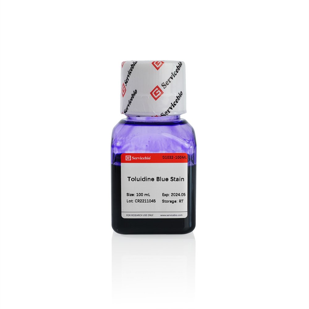 Toluidine blue stain, 100 mL (for Plant sample staining) - smartscience