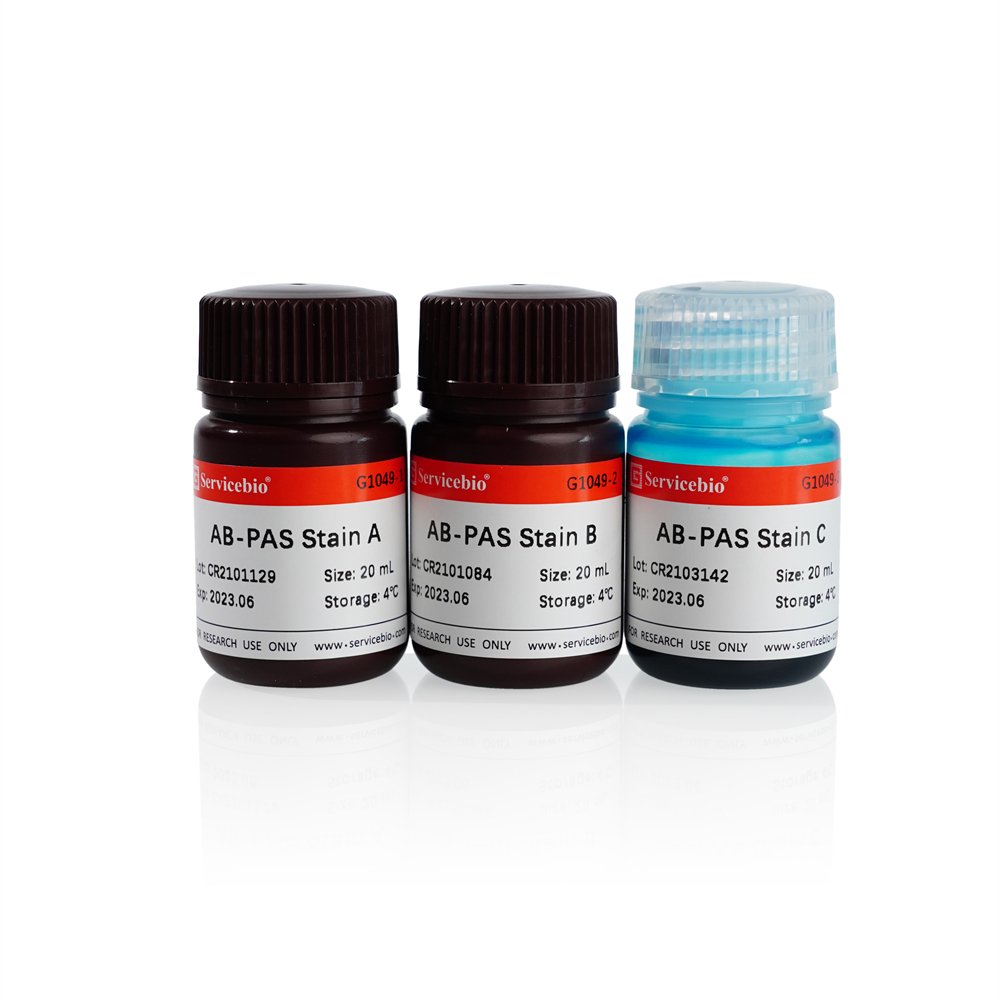 AB-PAS Stain (for Glucide staining) - smartscience