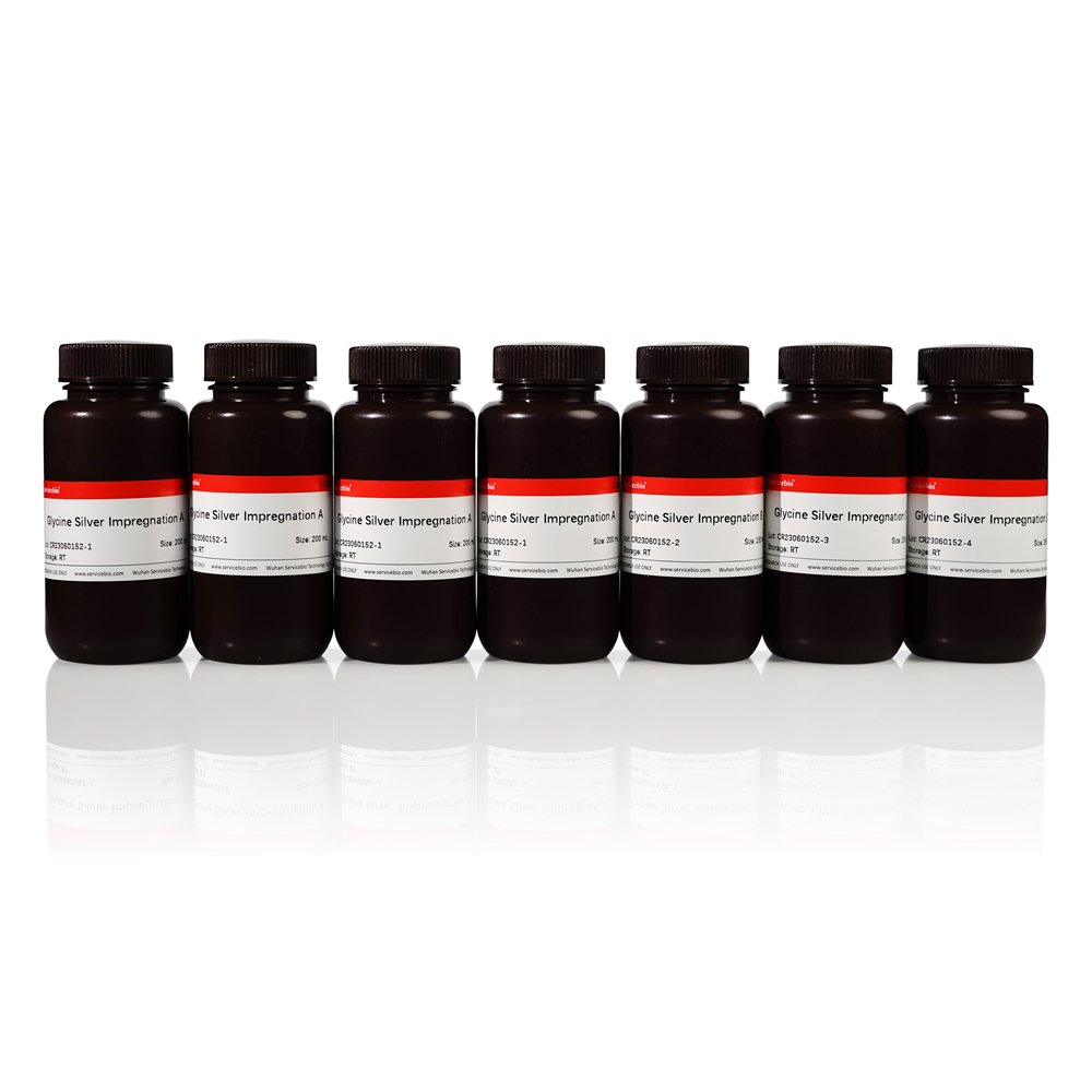 glycine silver impregnation kit, 200 mL×4+150 mL+250 mL+250 mL (for ...
