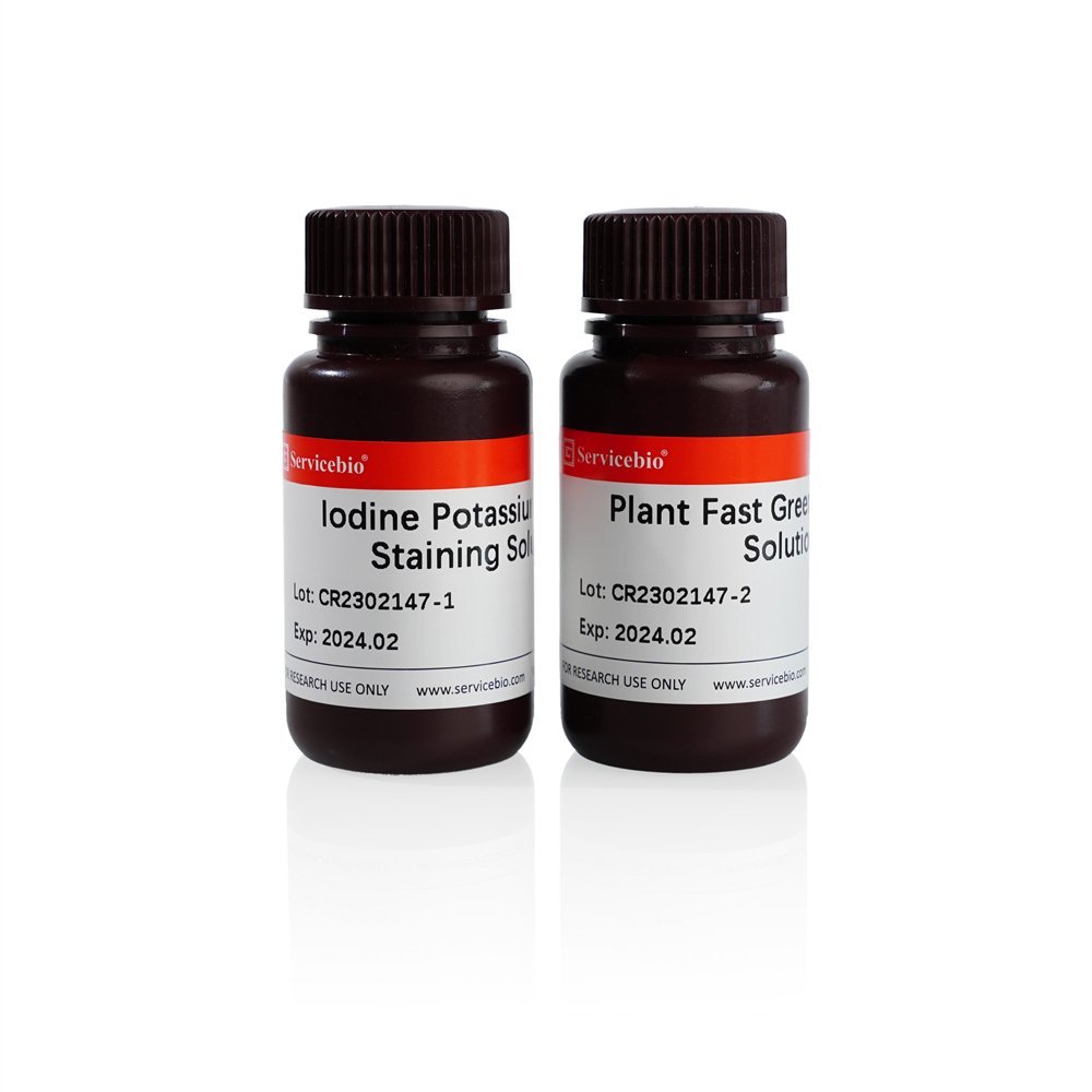Iodine-Potassium Iodide Dye Solution, 50 mL×2 (for Plant sample staining)